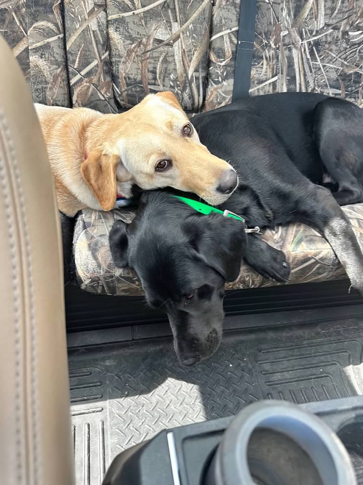 Zach and Zoe Update....