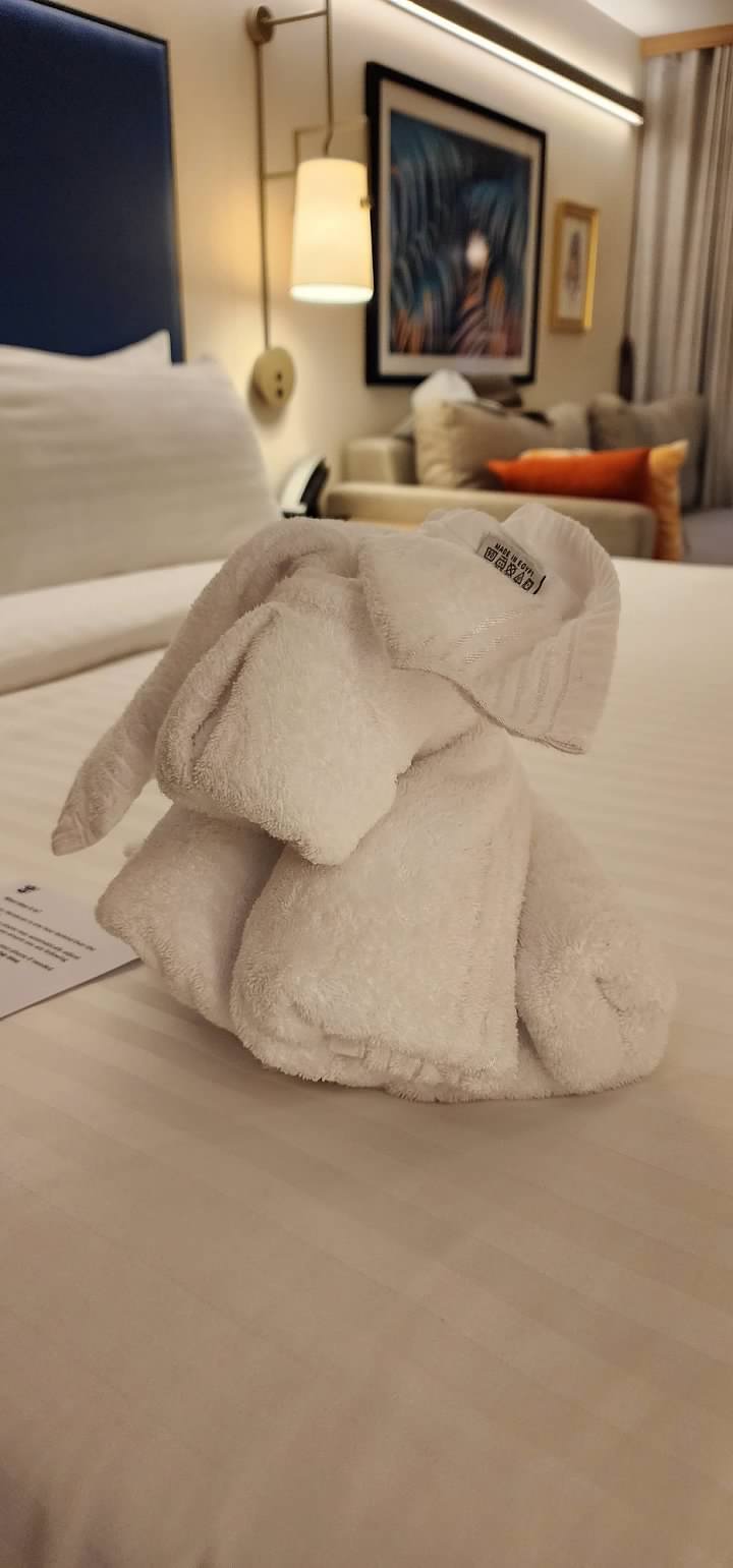 An Iconic Holiday cruise on the Icon of the Seas - A Trip Report by a ...